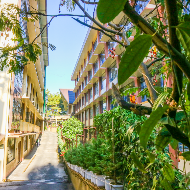 School of Teacher Education and Liberal Arts | STELA - Saint Louis ...