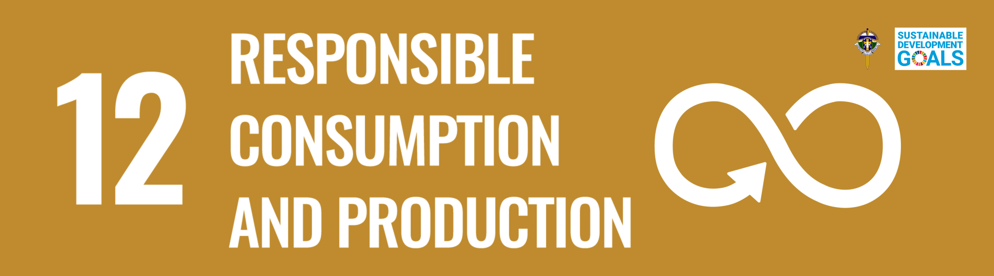 Sdg 12 Responsible Consumption And Production Saint Louis University