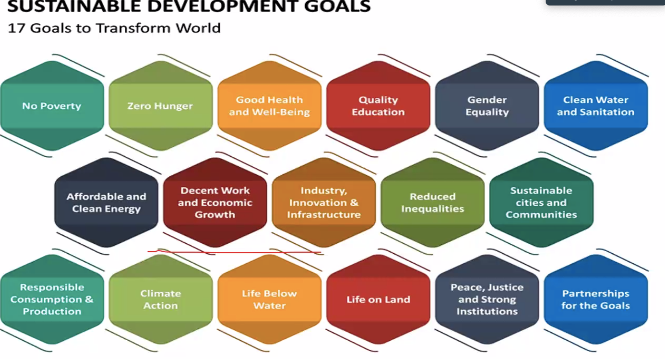 SLU and CEAP-CAR Conduct Webinar on Implementing Sustainable ...