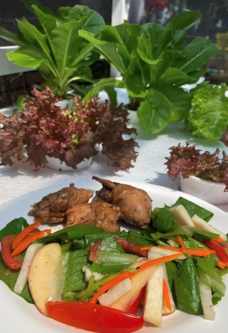 Talon iti Namnama: Farm of Hope – Saint Louis University, Philippines