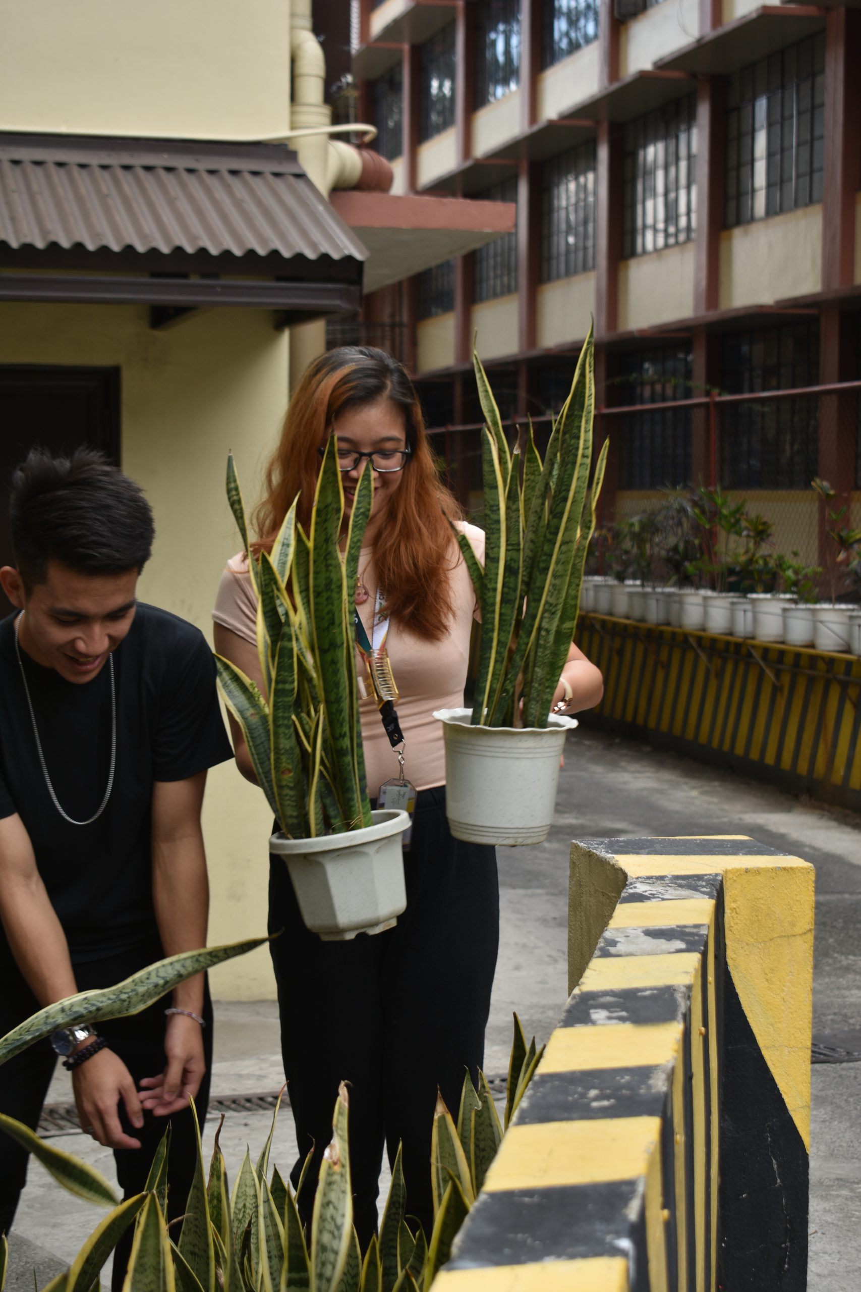 YCE initiates change through environmental action with Project Greenify ...